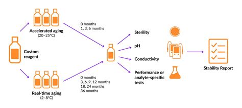 Stable Ground—the Importance Of Stability Testing For Custom Gmp Reagents Stable Ground—the Importance Of Stability Testing For Custom Gmp Reagents
