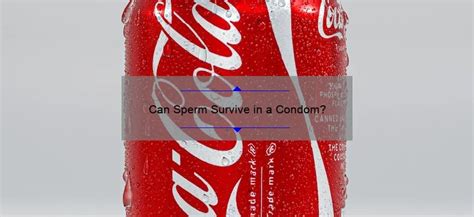 Can Sperm Survive In A Condom Sperm Blog
