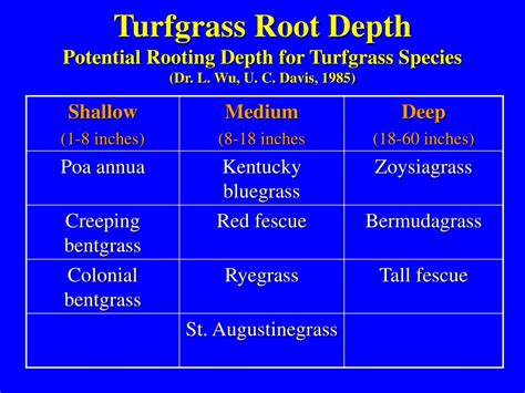 Ppt Effective Irrigation Scheduling And Management Powerpoint