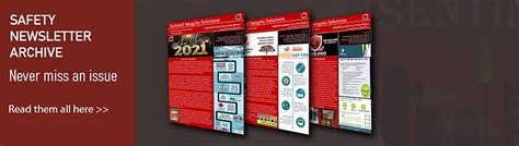 Advanced Ndt Sentinel Integrity