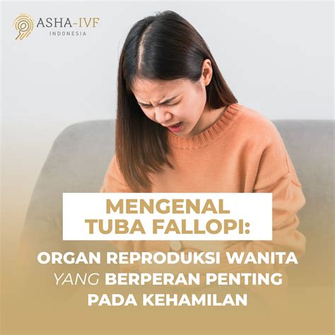 Tuba Falopi Organ Reproduksi Yang Berperan Pada Kehamilan Asha Ivf