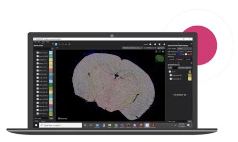 Vizgen Merscope Ultra™ Spatial Lifestrands