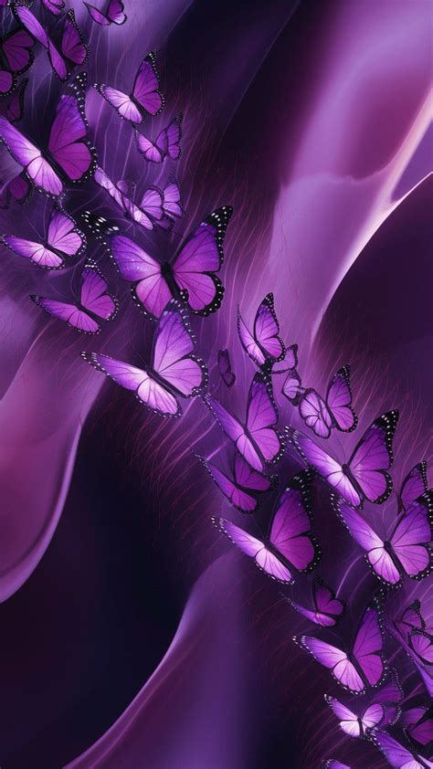 خلفيات فراشات باللون البنفسجي Butterfly Wallpaper Butterfly Beautiful