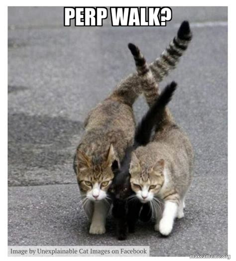 Perp Walk Meme Generator