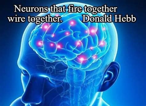 Neurons That Fire Together Wire Together Donald Hebb Neuroscience