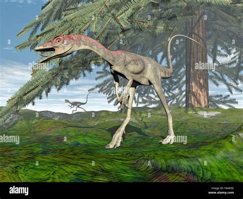 Procompsognathus Fossil
