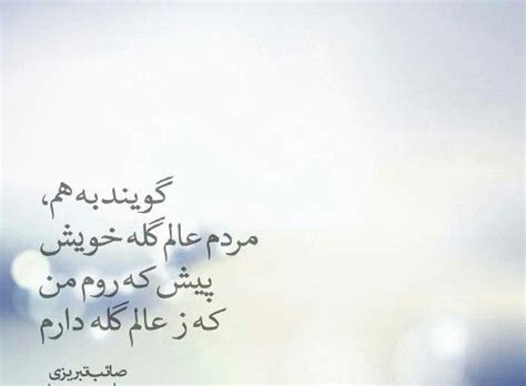 اشعار صائب تبریزی؛ 20 شعر زیبا از صائب تبریزی