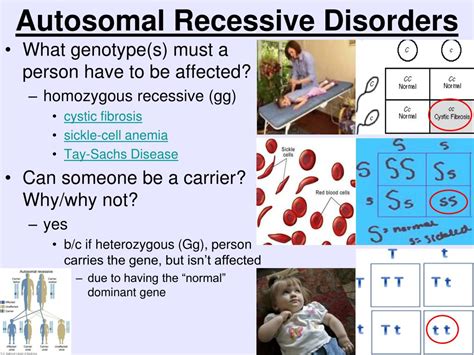 Ppt Unit 8 Genetics And Heredity Powerpoint Presentation Free