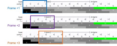 1 Module 1 — Understanding Eukaryotic Genes 0 0 1 Documentation