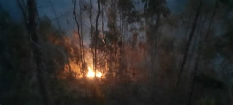 Senamhi on Twitter Infórmate Incendios forestales se reportaron en