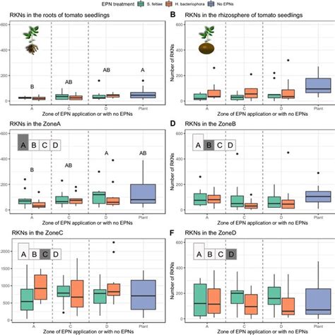Effect Of Entomopathogenic Nematode Epns Bacteria Complex On
