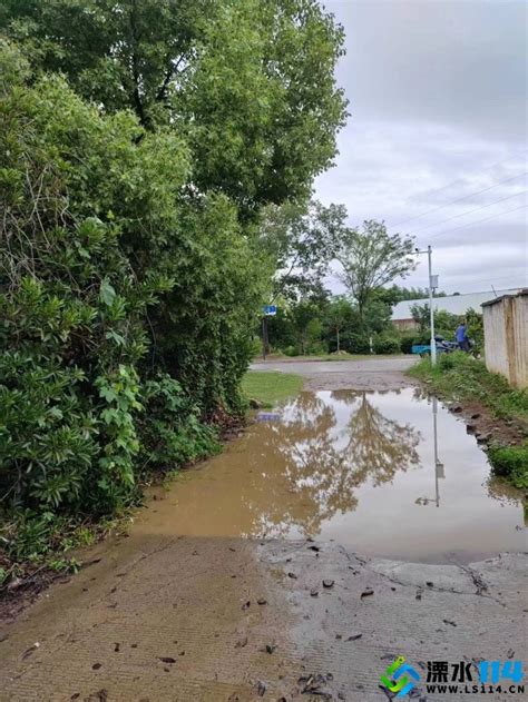 溧水114网大话溧水南方新城a区院墙西面的那条路，一下雨就积水，路人没法行走 Powered By Discuz