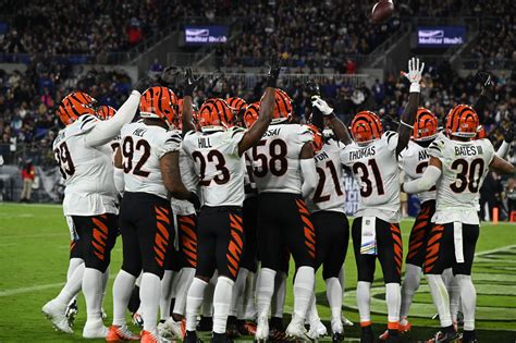 Winners And Losers From The Cincinnati Bengals 19 17 Loss To The