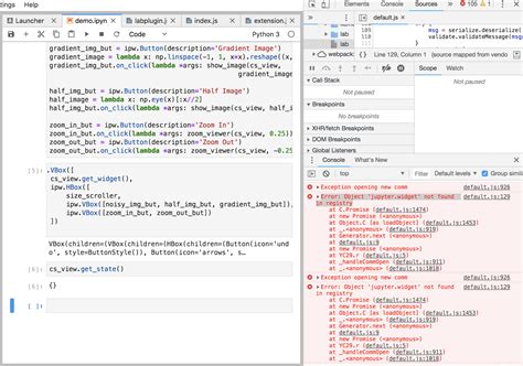 Does Not Show Up In Jupyterlab · Issue 10 · Chestrayscornerstone