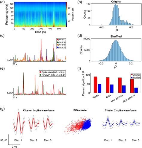 Gcamp Versus Electrical Data Cross Correlation Results Analyzing Data