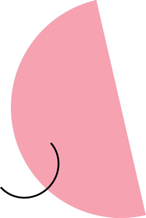 Who We Are Ecosystem Handbook