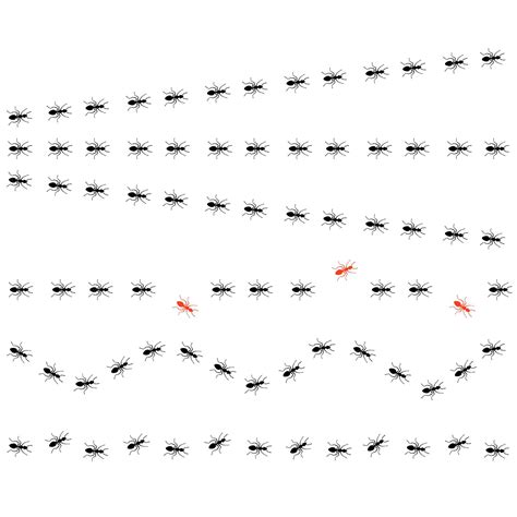 개미 흔적 흰색 배경에 작업 개미의 라인을 설정 곤충 행진 또는 길을 걷는 그룹 곤충 식민지 제어 소독 벡터 일러스트 레이 션 프리미엄 벡터