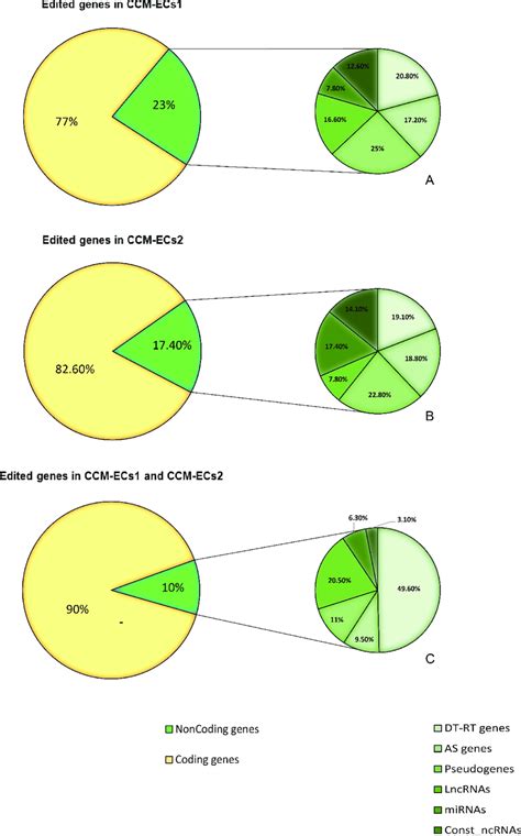 Distribution Of Coding Noncoding Loci Spanned By Editing Sites Editing Download Scientific