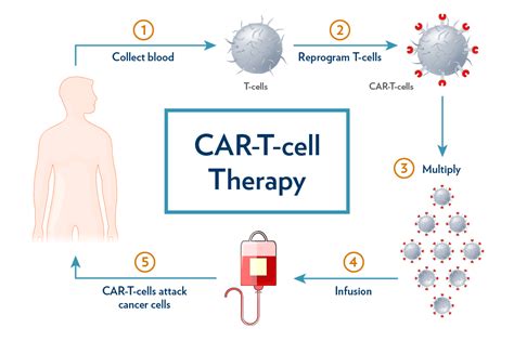Expanding Impact Of Car T Cell Therapy An Immunotherapy Strategy That