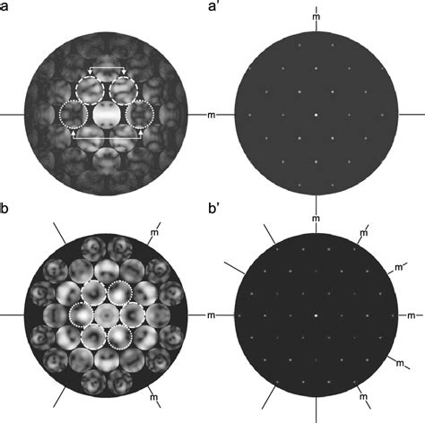 Examples Of Simulated Cbed And Ped Patterns Of Non Centrosymmetric Download Scientific Diagram