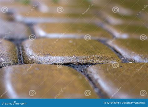 Piedras Perfectamente Uniformemente Puestas De Las Losas Mojadas De La
