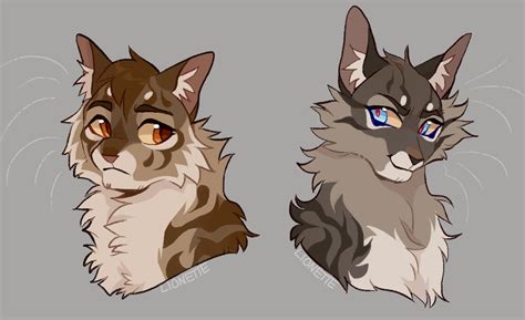 Brambleclaw And Hawkfrost Hübsche Zeichnungen Katzen Fotos Warrior Cats