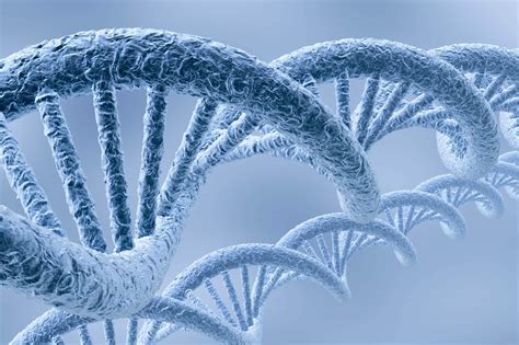 人体组织基因活性大规模破译