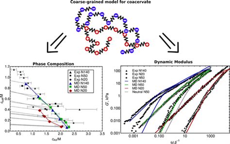 Complex Coacervation In Polyelectrolytes From A Coarse Grained Model Pmc