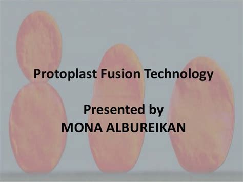 Protoplast Fusion Technology
