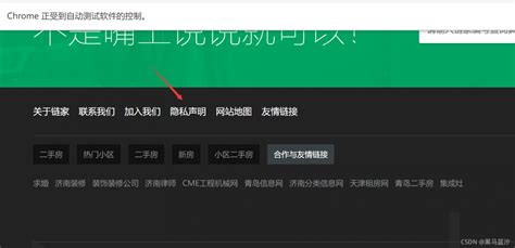 爬虫中selenium的其他使用方法 源码巴士