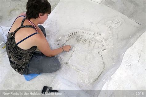Fossil Finds Ashfall Fossil Beds