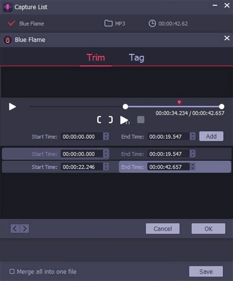 User Guide Of Viwizard Audio Capture