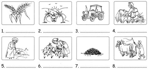 Grade 5 A Seed Tells A Farmers Story Worksheets Worksheets Buddy