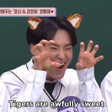 Tiger Hoshi Dessin De Fan Dessin