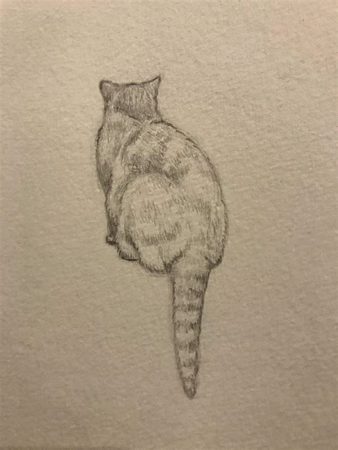 That Stubby Tail 😂 R Sketches