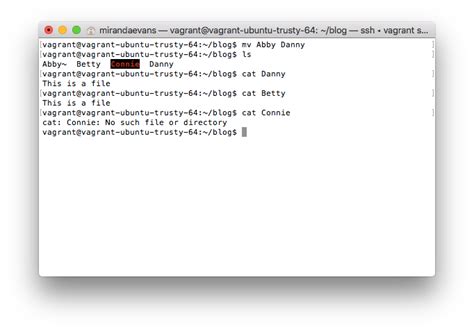 Whats The Deal With Hard Links And Symbolic Links By Miranda Evans
