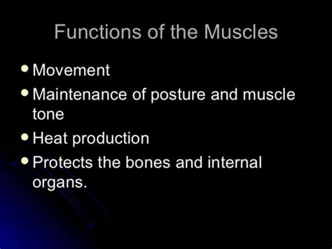 Skeletal System Ppt