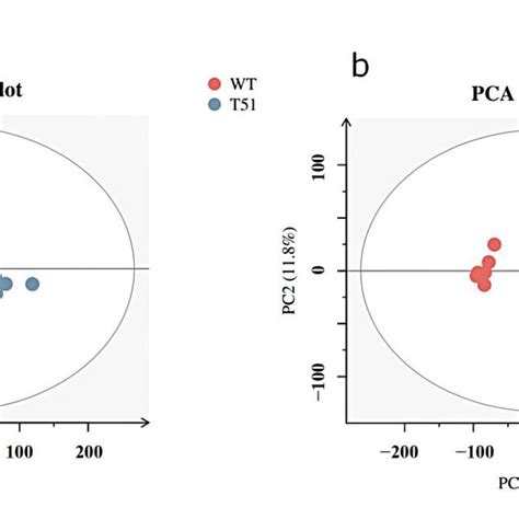 Pca Scores Plot Between Wt And T51 In Positive And Negative Ion Modes