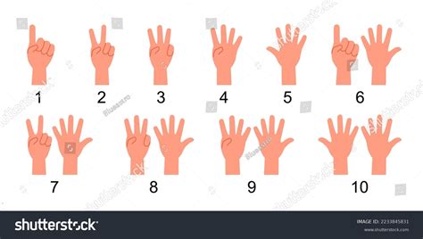 Set Hand Gestures Counting Number Flat Stock Vector Royalty Free 2233845831 Shutterstock