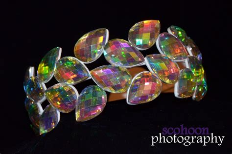 Rosey Camelia Rose Usa