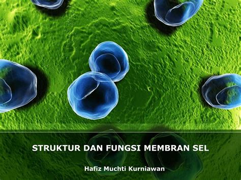 Struktur Membran Selpptx