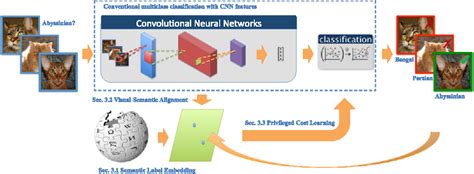 Figure 1 From Learning To Classify Fine Grained Categories With Privileged Visual Semantic