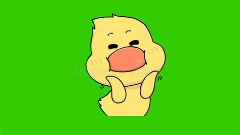 Animated Duck Clapping In Congratulations With Green Screen Stock