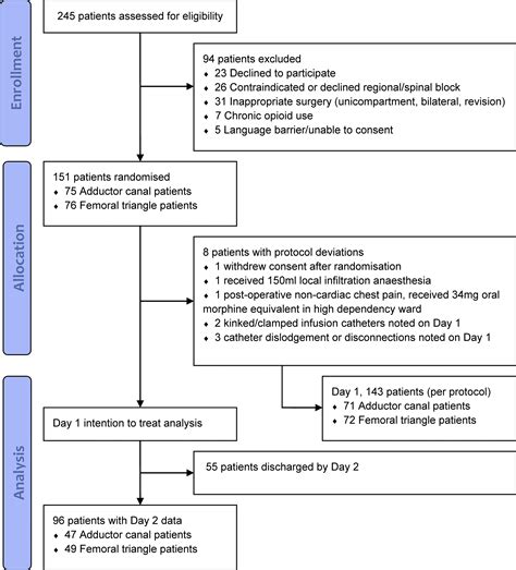 Adductor Canal