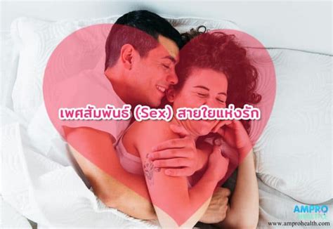 เพศสัมพันธ์ Sex สายใยแห่งรัก Am Pro Health