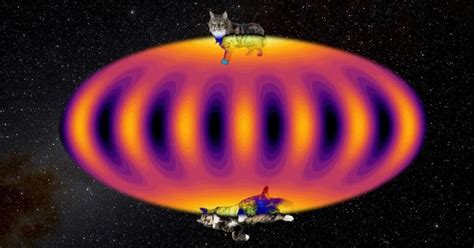 This Metaphorical Cat Is Both Dead And Alive And It Will Help Quantum