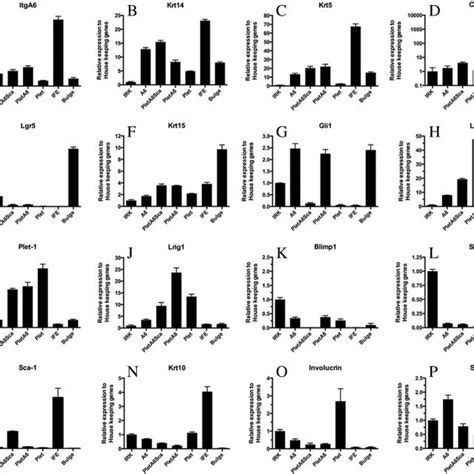 Rt Pcr Expression Levels On Genes Coupled To Hair Follicle Stem Cells