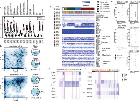Scrna Seq Analysis Of Tumour Associated B Cells A Box Plots Of