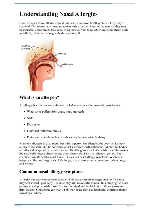 Text Understanding Nasal Allergies Healthclips Online