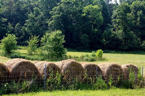 Hay Bales Meadow Free Photo On Pixabay Pixabay
